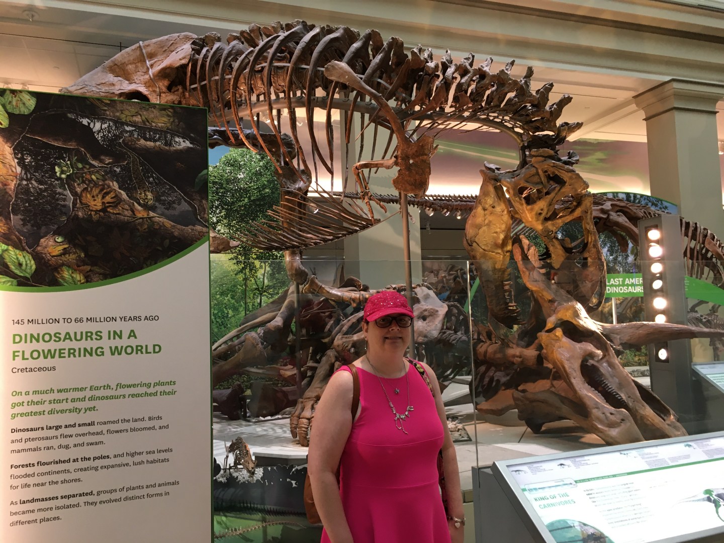 Acrocanthosaurus: The T-Rex of Texas and Its Prehistoric Hunt | Coffee ...