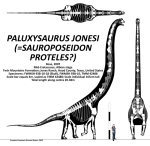 Acrocanthosaurus: The T-Rex of Texas and Its Prehistoric Hunt | Coffee ...