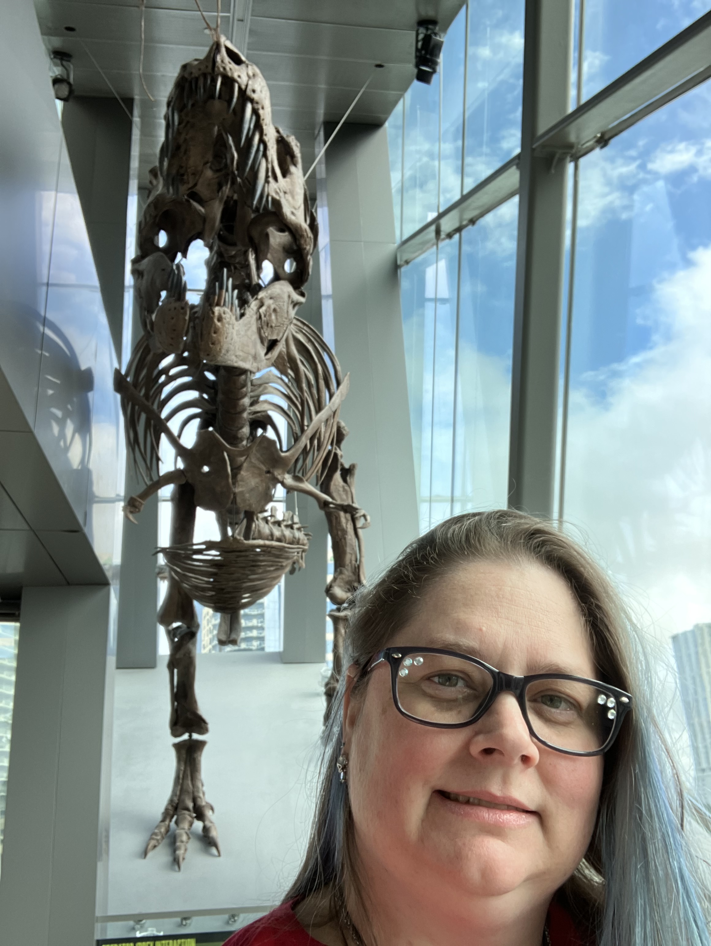 Stan the T-Rex: History and Mystery of a Fossil Star | Coffee And ...