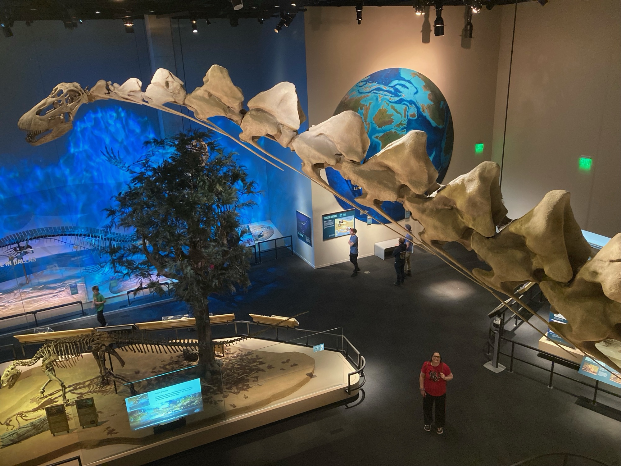 Coffee And Coelophysis | A blog about Dinosaurs