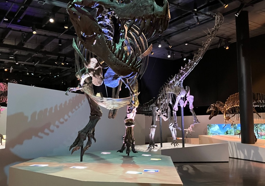 Stan the T-Rex: History and Mystery of a Fossil Star | Coffee And ...