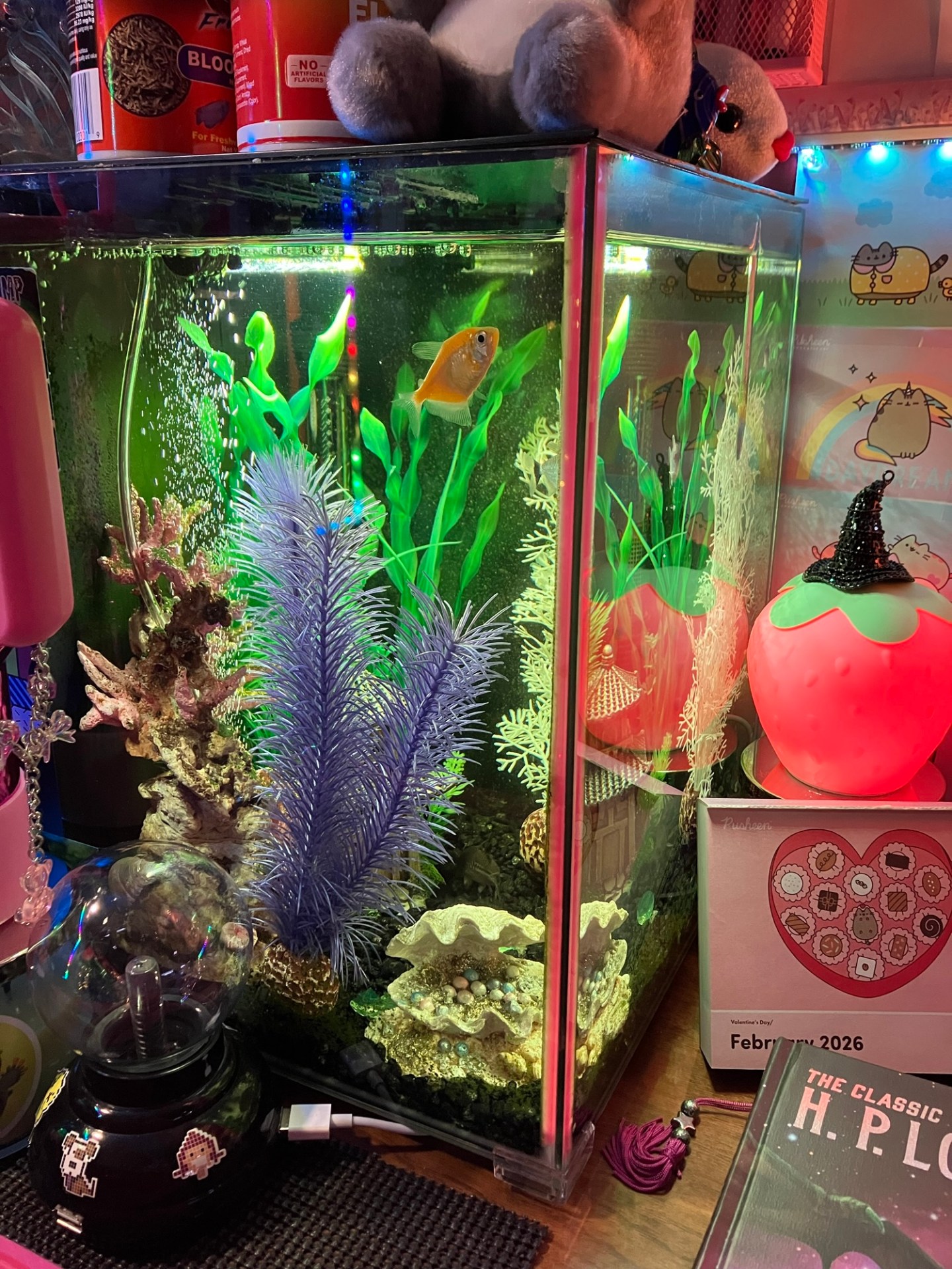 The Living Archive: Observing Evolution Through My Desk Aquarium ...